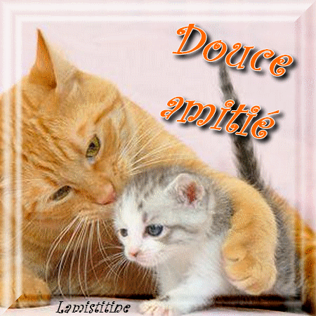 Ptit message ... Douce amitié ... Gros bisous - Centerblog