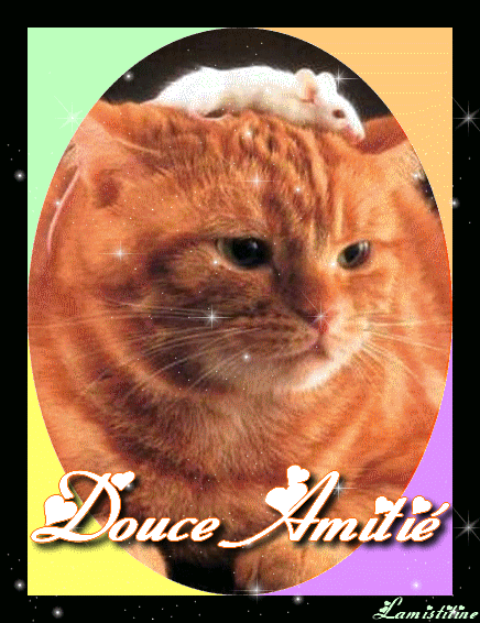 Ptit message ... Douce amitié ... Gros bisous - Centerblog